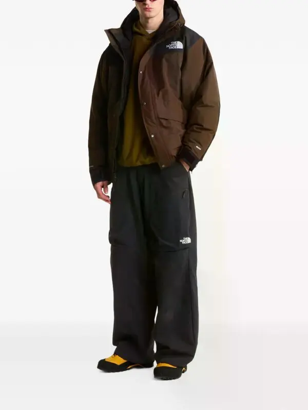 The North Face Mountain Down Jacket