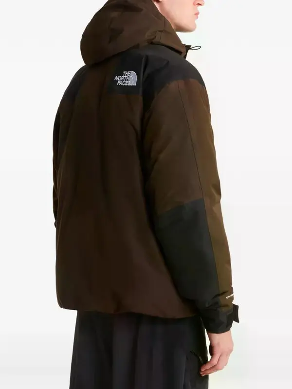 The North Face Mountain Down Jacket