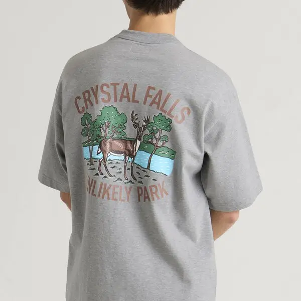 UNLIKELY DRY GOODS Crystal Falls Graphic T-shirt
