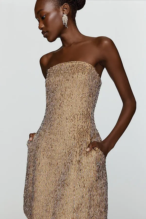 Bardot Flore Strapless Mi Dress