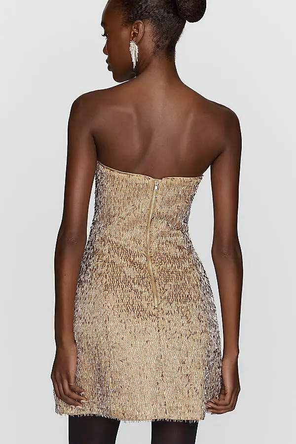Bardot Flore Strapless Mi Dress