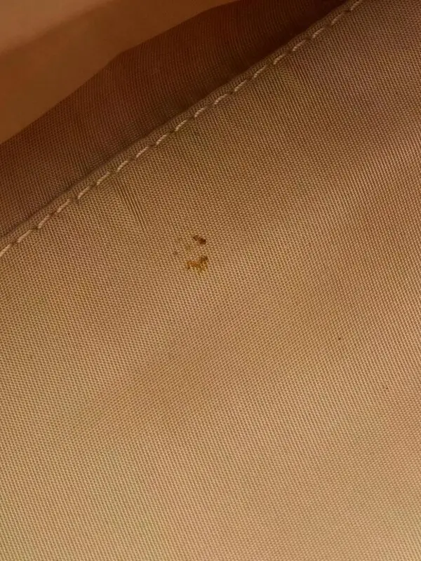 Dior 2005 Trotter Tote Bag