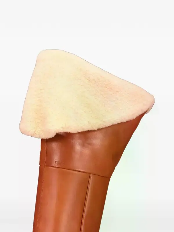 Chloé Azelan Thigh-high Boots - Brown