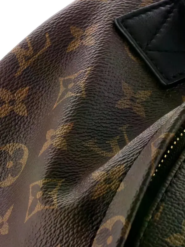 LOUIS VUITTON Palm Springs Monogram Canvas Mm Backpack