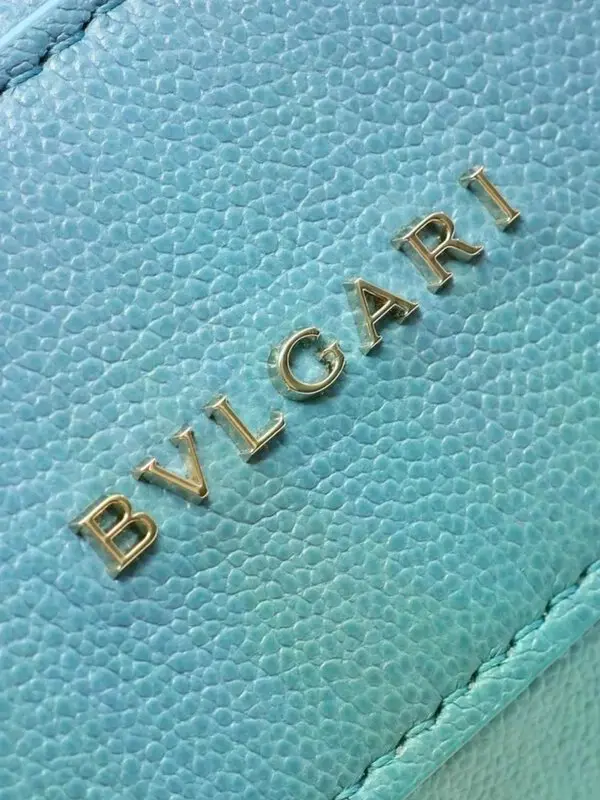 BVLGARI 2000-2026 Grained Calfskin Serpenti Forever Vanity Bag Satchel