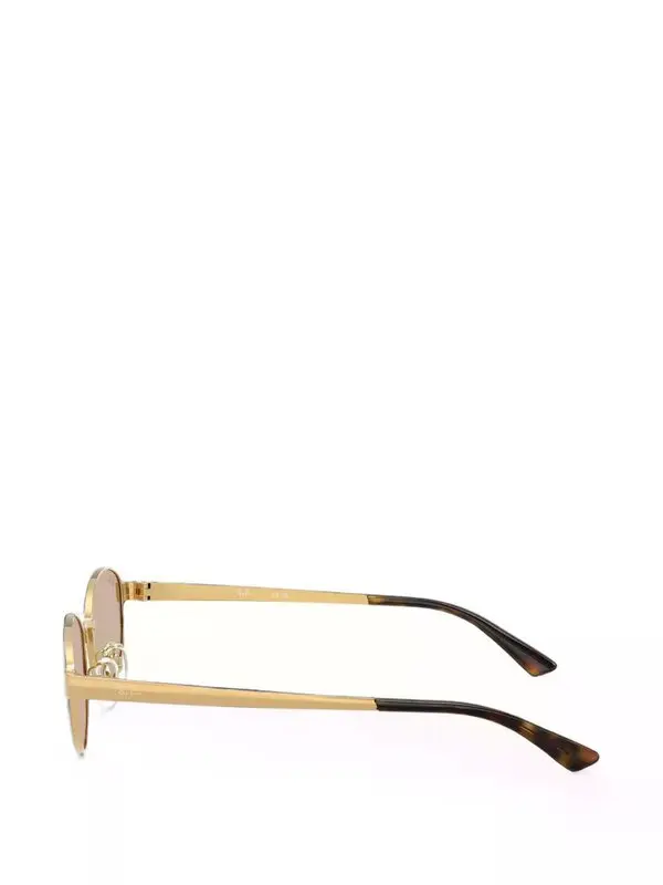 Ray-ban Oval-frame Sunglasses