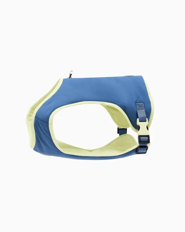 Giorgio Armani Poldo Dog Couture X Two-tone Harness