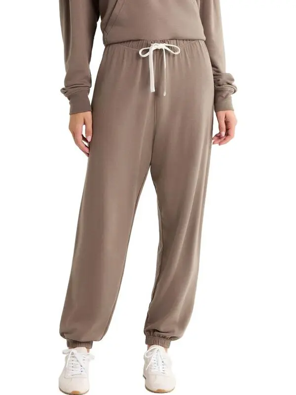 Splits59 Andie Oversized Modal Fleece Sweatpants - Lentil