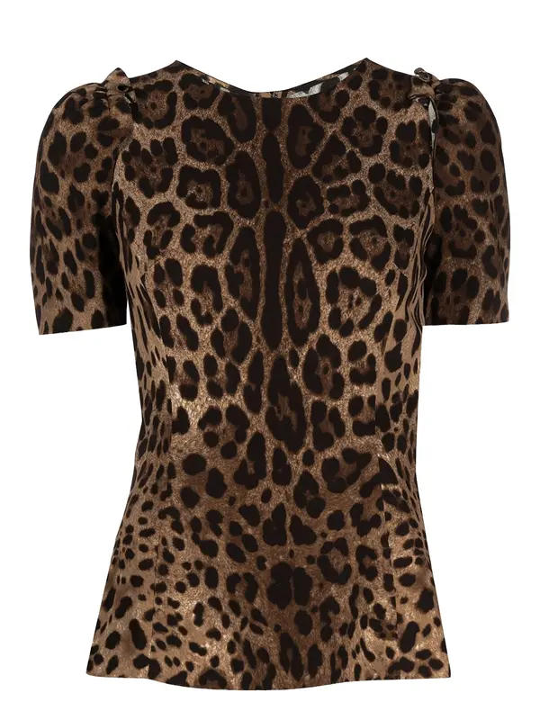 Dolce & Gabbana Leopard-print Top - Brown
