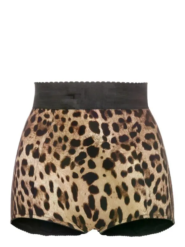 Dolce & Gabbana Leopard-print High-waisted Briefs - Brown