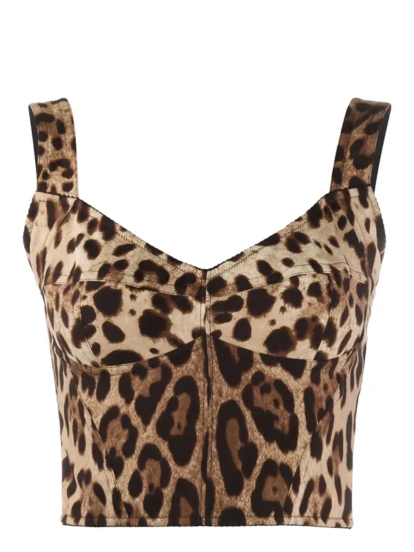 Dolce & Gabbana Leopard-print Bustier Top - Brown