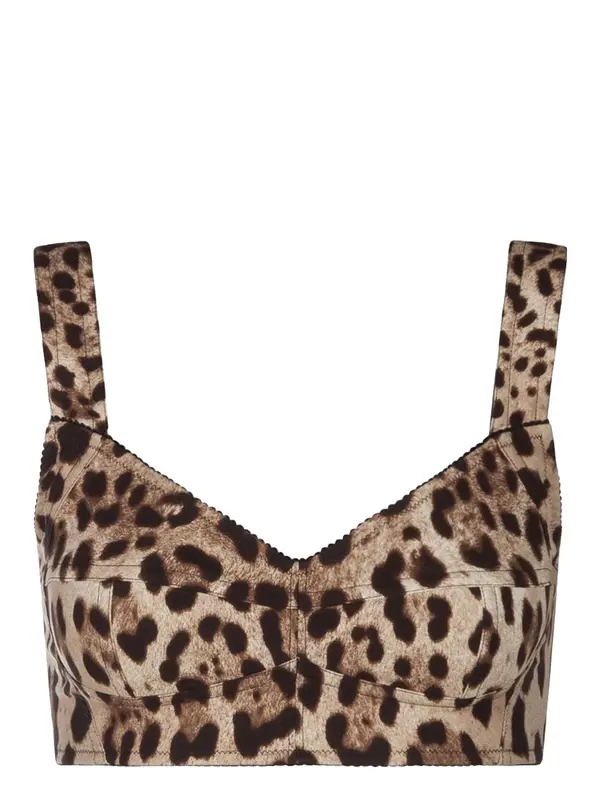Dolce & Gabbana Leopard-print Bustier Top - Brown