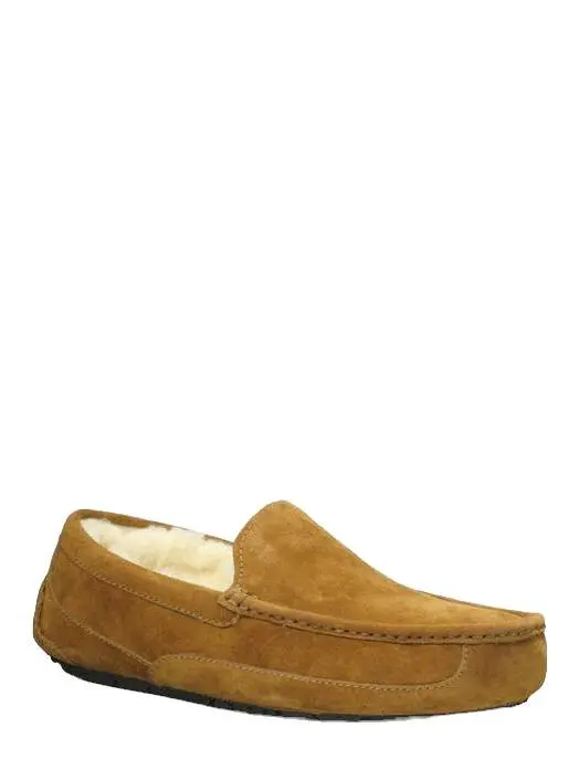 UGG Ascot Loafer Slipper - Chestnut Suede