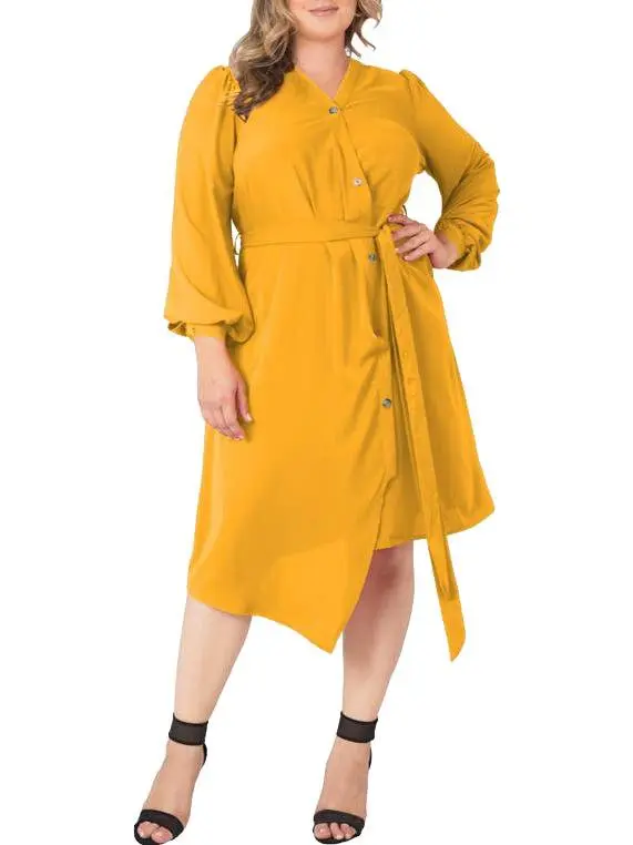 STANDARDS & PRACTICES Asymmetrical Long Sleeve Shirtdress - Ginger