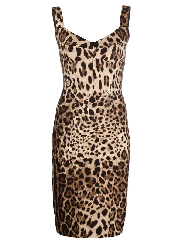 Dolce & Gabbana Leopard-print Corset Dress - Neutrals