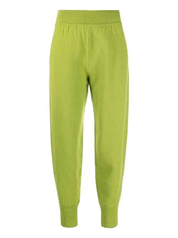 Alberta Ferretti Ribbed-detailing Knitted Joggers - Green