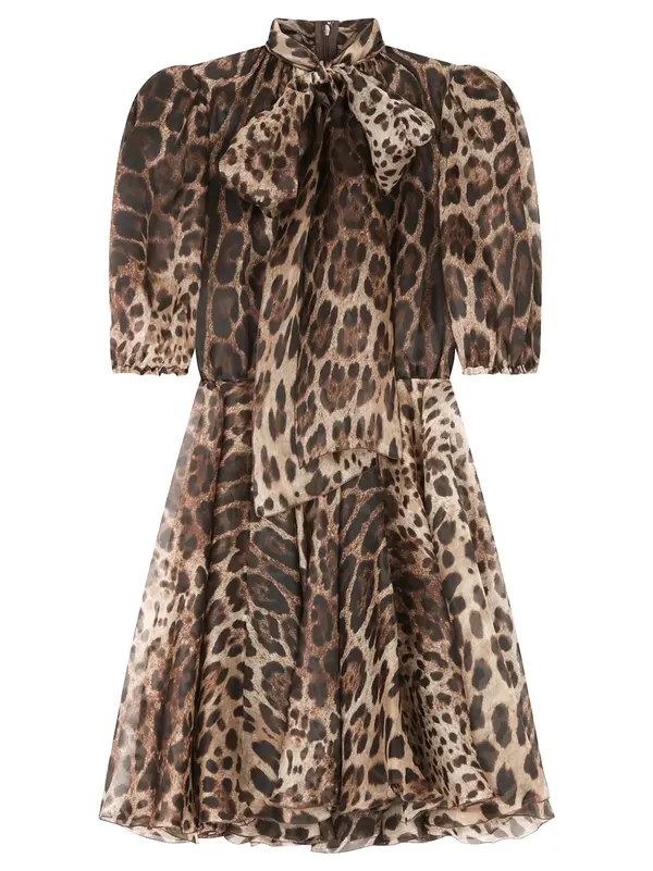 Dolce & Gabbana Leopard-print Organza Mini Dress - Brown