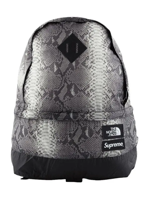 Supreme The North Face Snakeskin Lightweight Day Pack - Grey