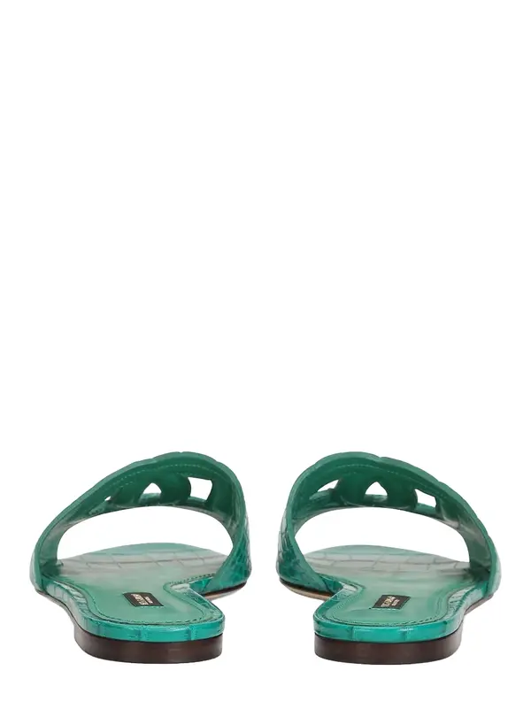 Dolce & Gabbana Dg Millennials Leather Sandals - Green