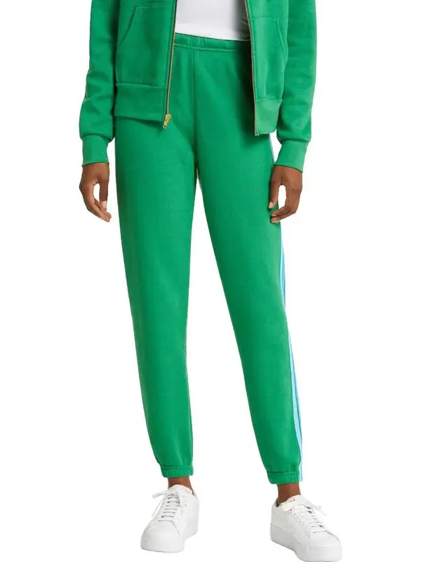 Aviator Nation Stripe Track Pants - Kelly Green/blue