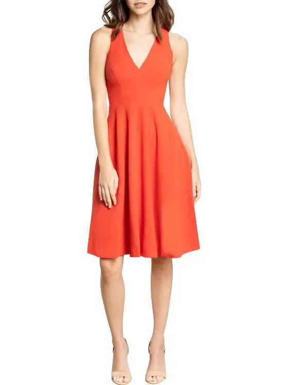 Dress The Population Catalina Fit & Flare Cocktail Dress - Poppy