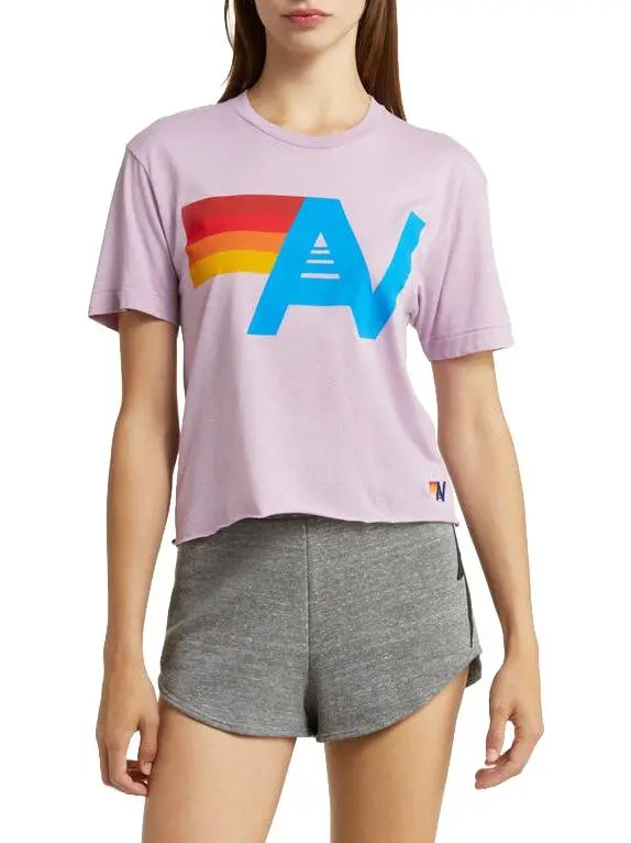 Aviator Nation Logo Boyfriend Tee - Mauve