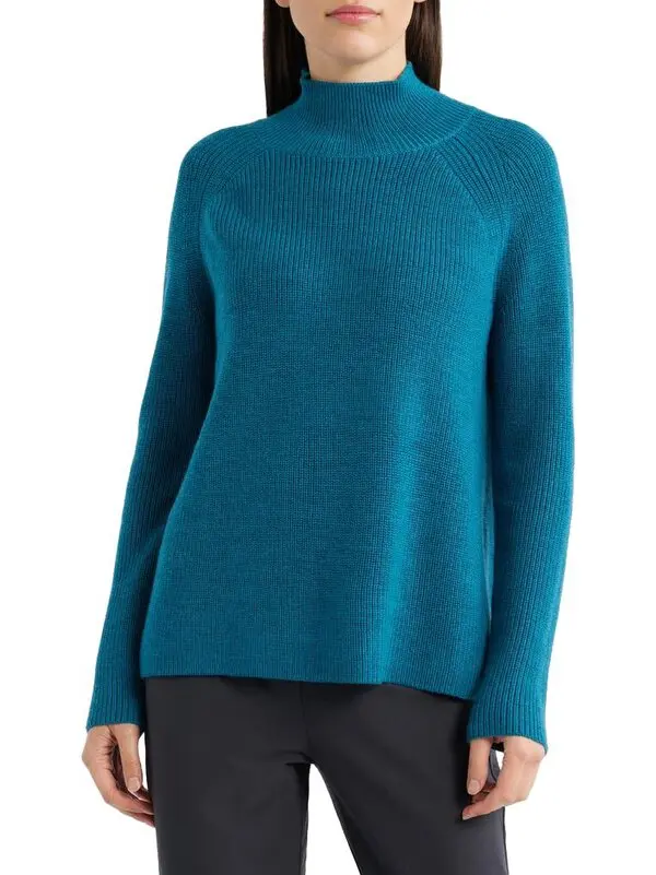 Eileen Fisher Raglan Sleeve Merino Wool Turtleneck Sweater - Dragonfly