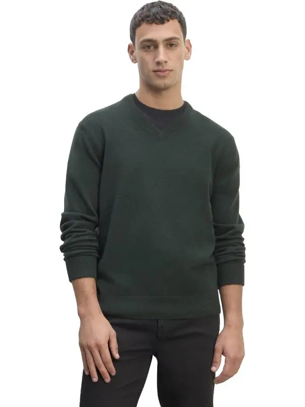 Everlane Cashmere V-neck Sweater - Scarab