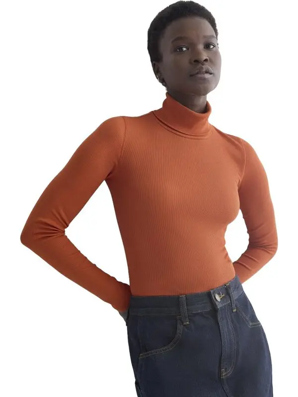 Everlane Luxe Ribbed Turtleneck - Rust