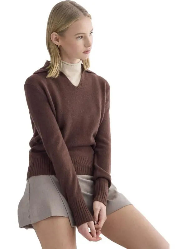 Everlane Cashmere Polo Sweater - Dark Mahogany