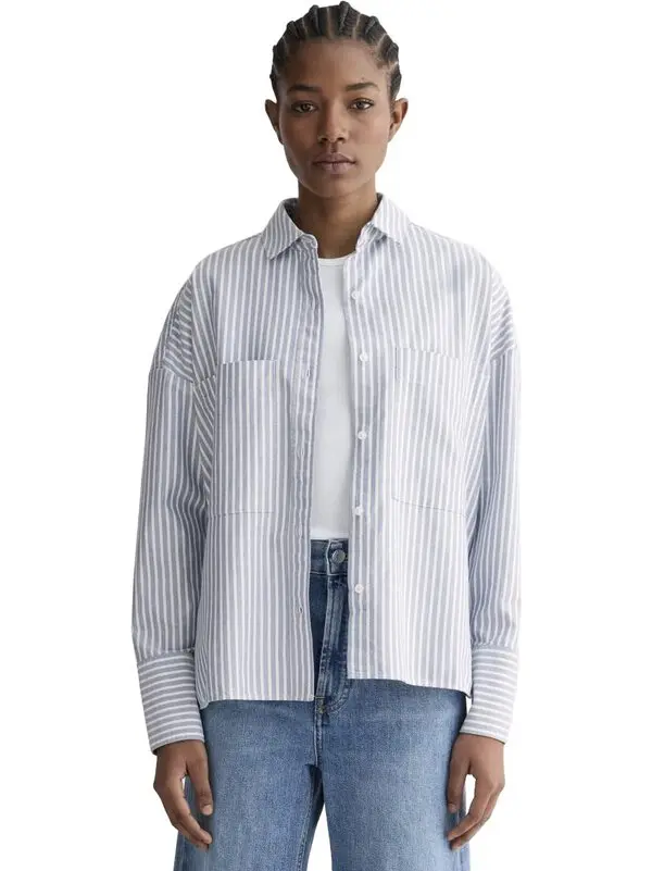 Everlane Boxy Oxford Shirt - Bone/mazarine Blue