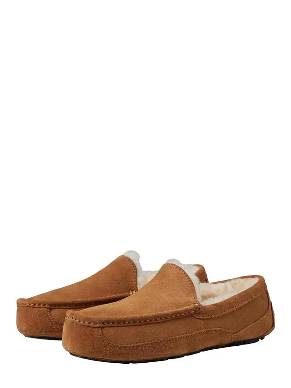 UGG Ascot Slipper - Chestnut