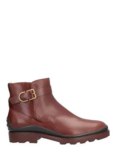 TOD'S Ankle Boots In Leather - Brown