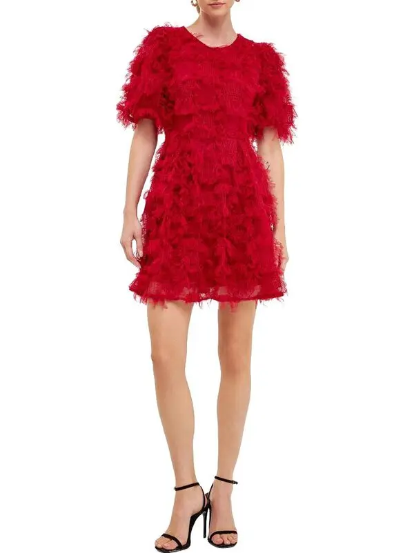 Endless Rose Feathered Mesh Mini Dress - Wine