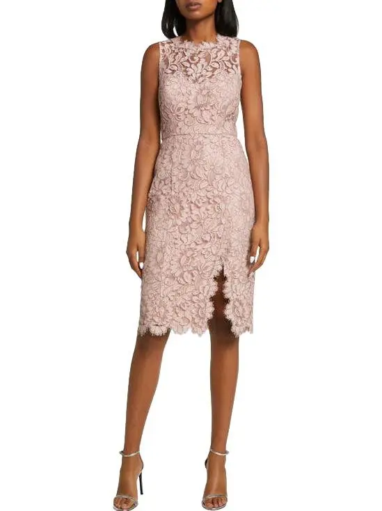 Eliza J Sleeveless Lace Sheath Dress - Blush