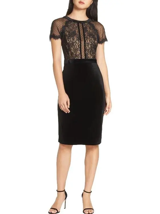 Tadashi Shoji Lace And Velvet Dress - Black/nude