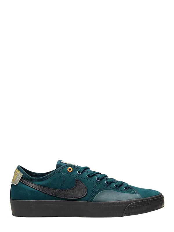 Nike Sb Blazer Court Daan Van Der Linden Sneakers - Green