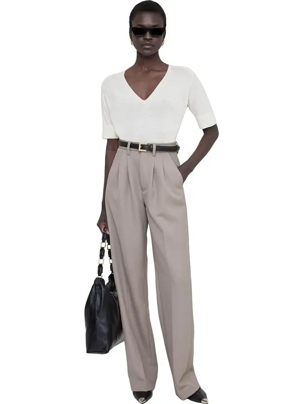 ANINE BING Carrie Wide-leg Pleated Trousers - Taupe