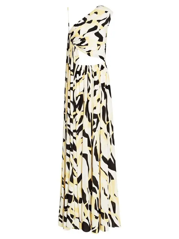 Roberto Cavalli Printed Crepe Maxi Dress - Off-white