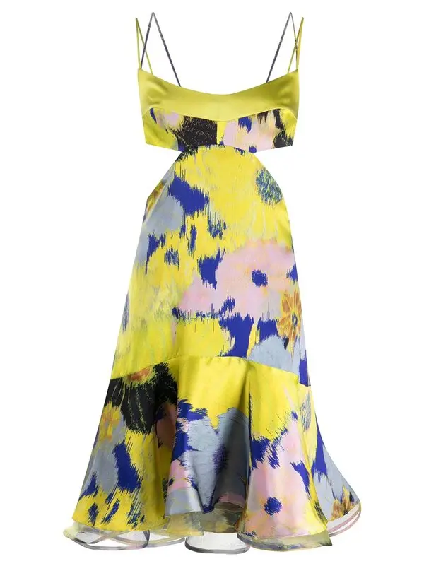 Silvia Tcherassi Analissa Cut-out Detail Dress - Multicolour