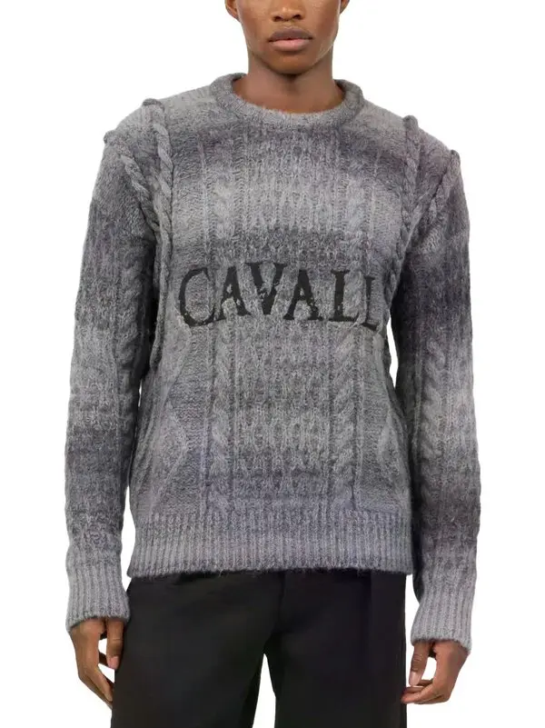 Roberto Cavalli Embroidered Logo Crew Neck Sweater - Grey