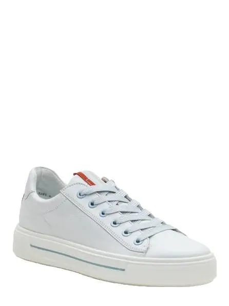 ARA Camden Sneaker - White Cervocalf