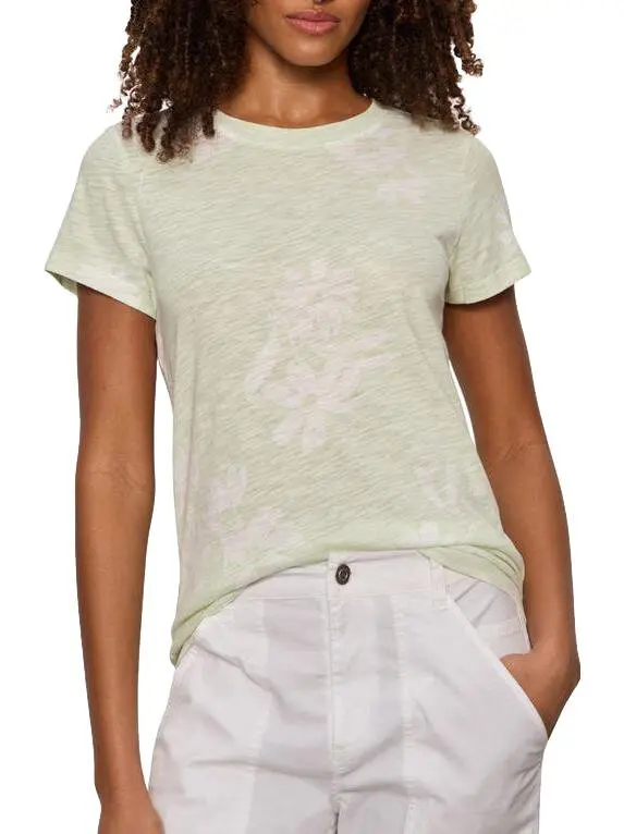 Sanctuary Printed T-shirt - Petal Play Mint