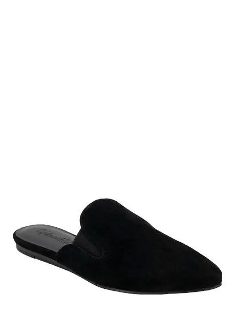 Splendid Liza Pointed Toe Mule - Black Suede