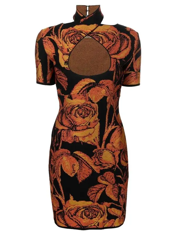 Roberto Cavalli Floral Jacquard Mini Dress - Black