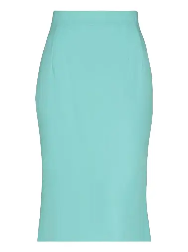 Dolce & Gabbana Midi Flared Skirt - Blue