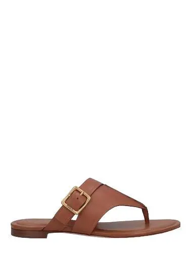 TOD'S Thong Sandals In Calfskin - Brown