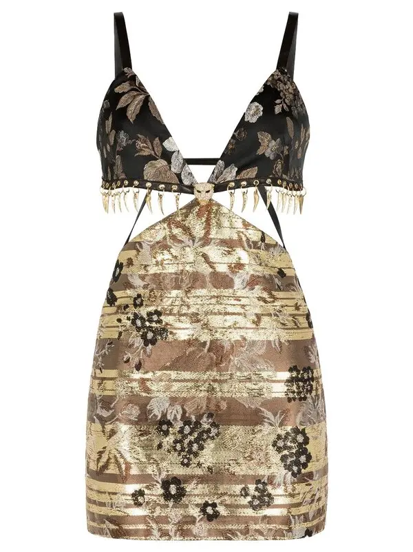 Roberto Cavalli Floral-jacquard Minidress - Brown