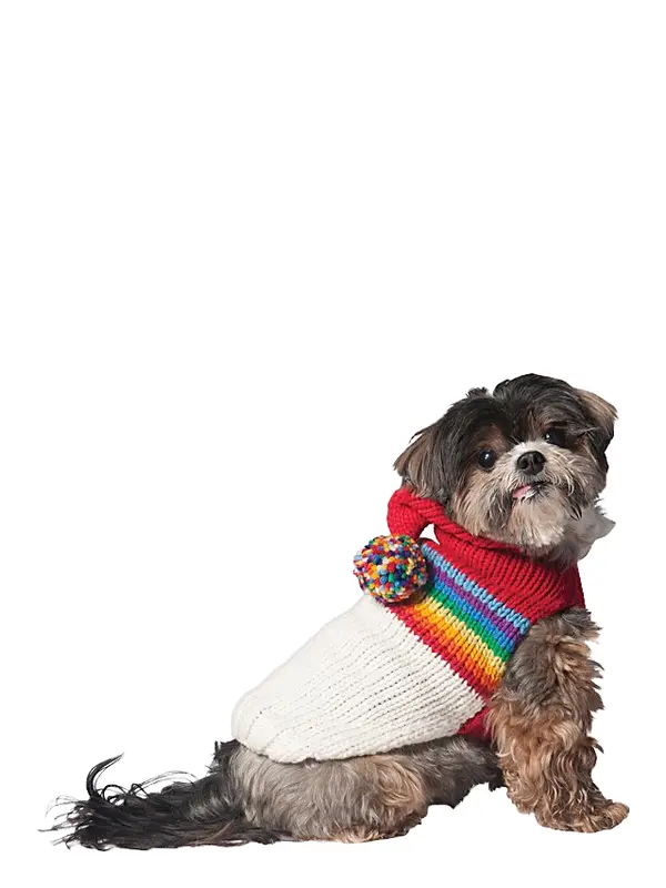 CHILLY DOG Vintage Ski Hoodie Dog Sweater - Red