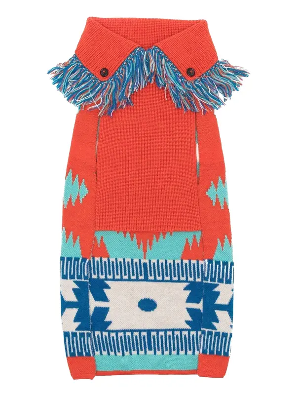 Alanui X Poldo Intarsia-knit Dog Jumper - Blue
